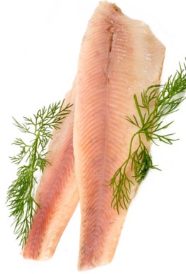 SMOKED TROUT DILL - Dos Juans Fine Food